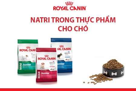 NATRI TRONG THỰC PHẨM DÀNH CHO CHÓ